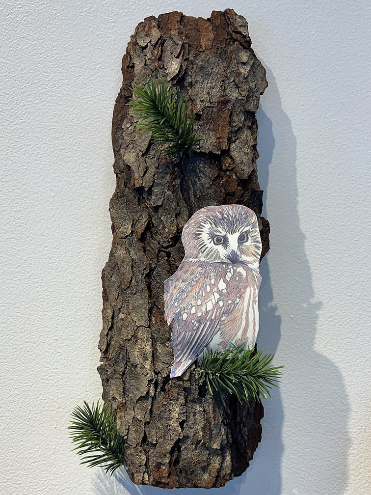 Anne Marie Waller – Northern Pygmy Owl | Mustard Seed Market & Cafe